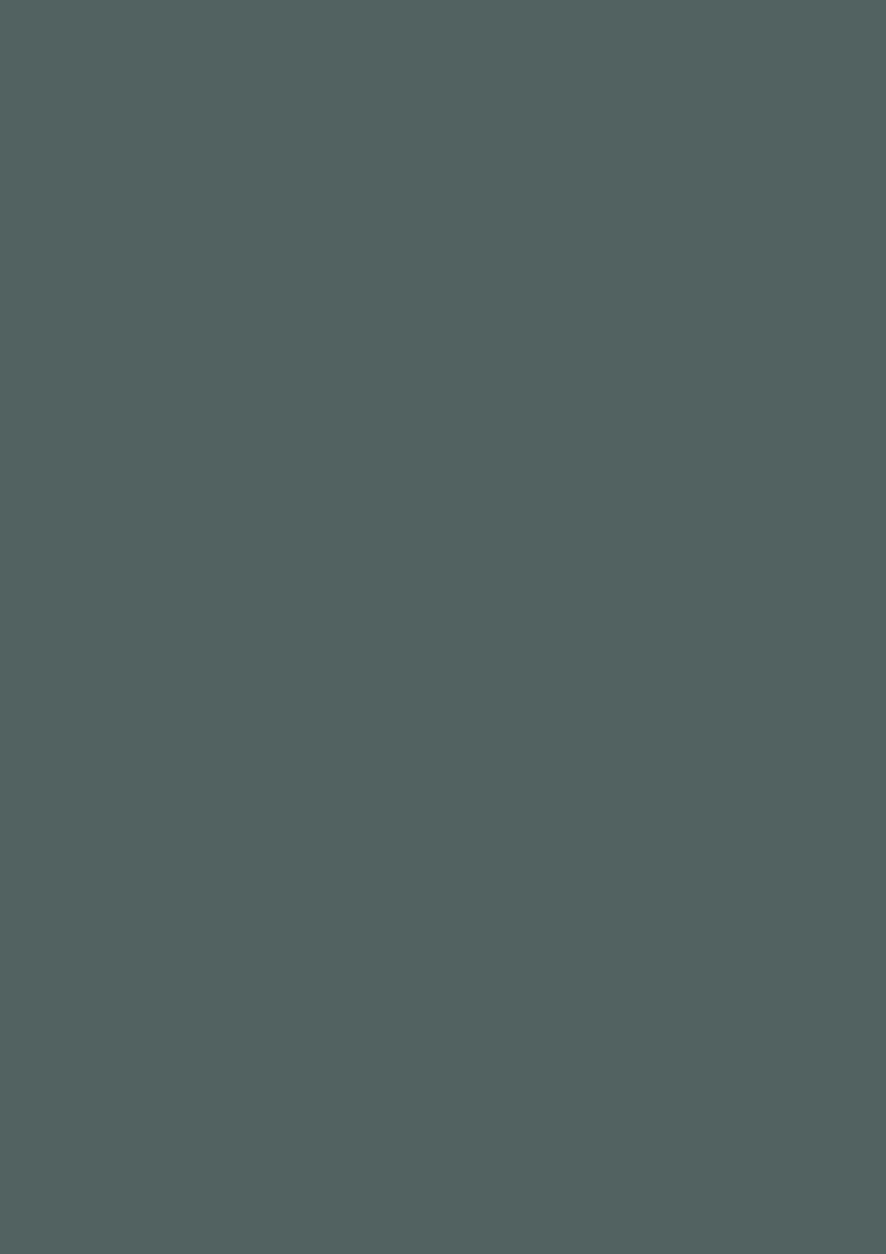 U665 PM PerfectSense Premium lak MDF mat | ELGRAD BiH
